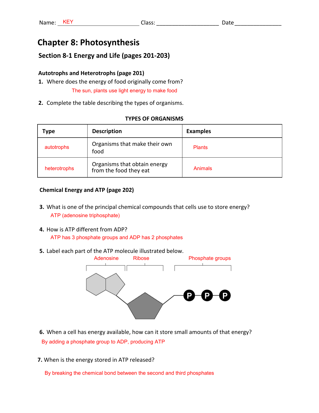 Worksheet Photosynthesis Worksheet Answers Grass Fedjp Worksheet